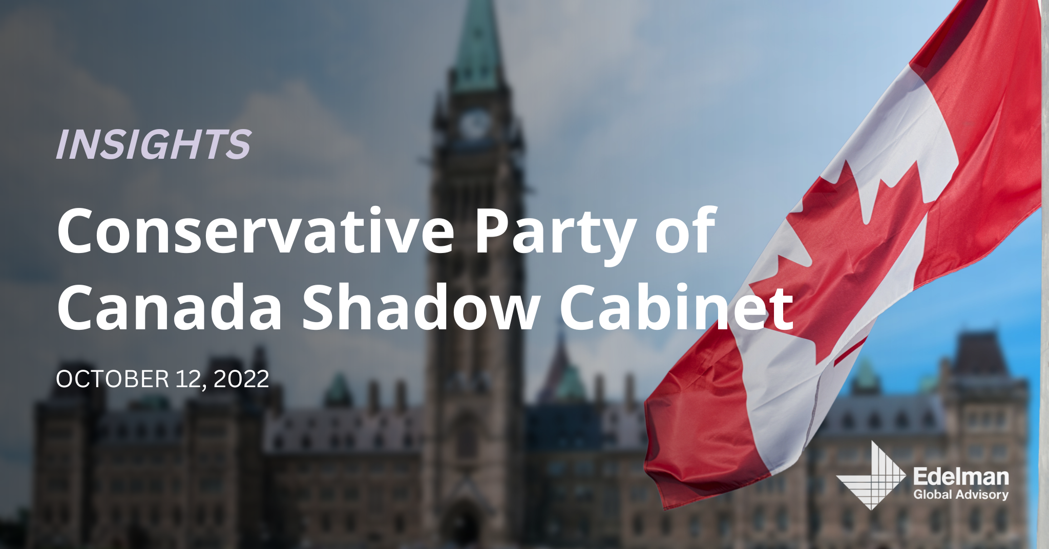 conservative shadow cabinet